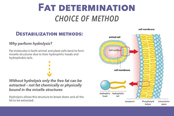 Total Fat Analysis Made Simple | From Manual to Magical